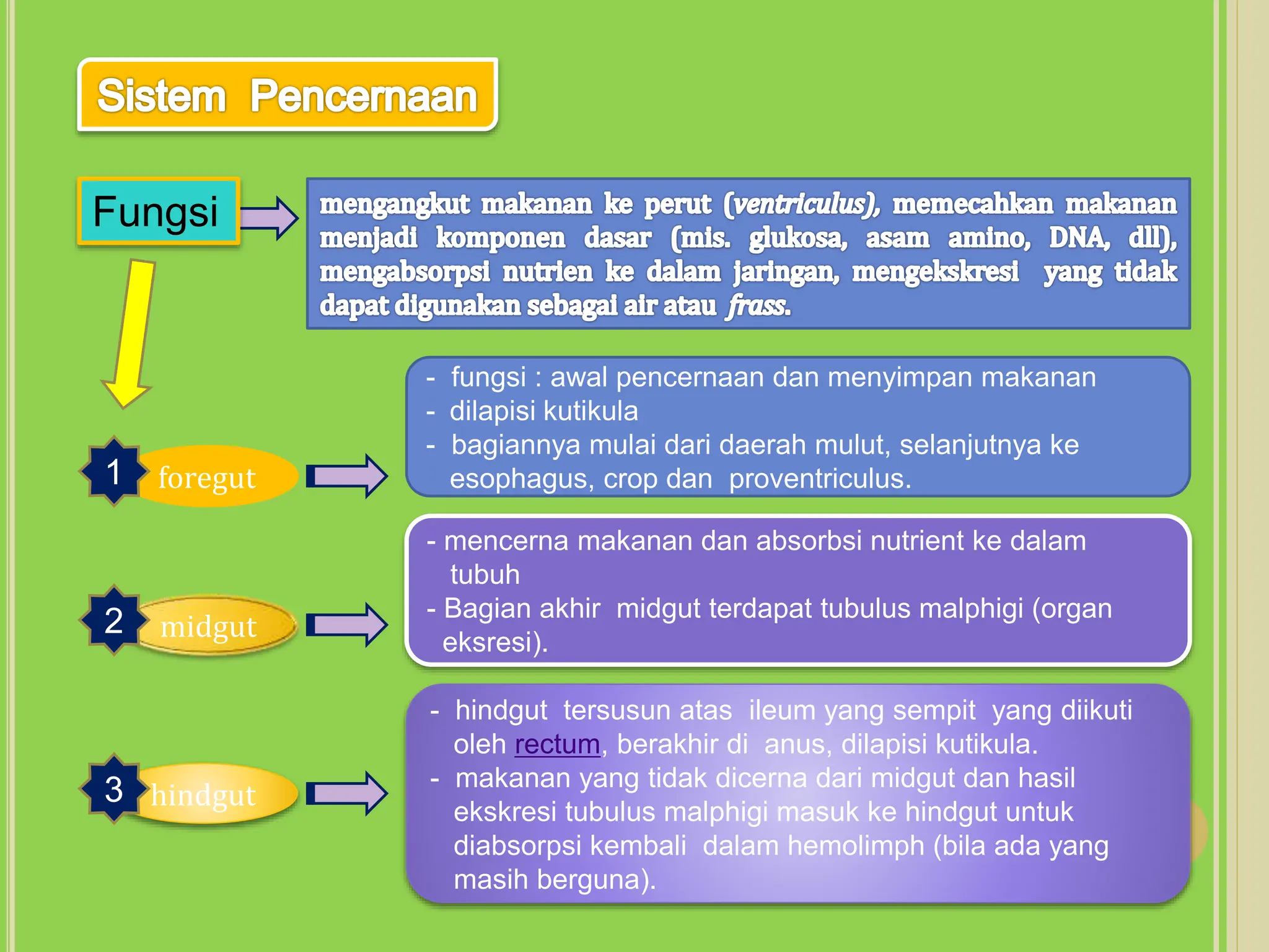 PPT - KLASIFIKASI - INSEKTA - IPA KELAS 7 | PPTX