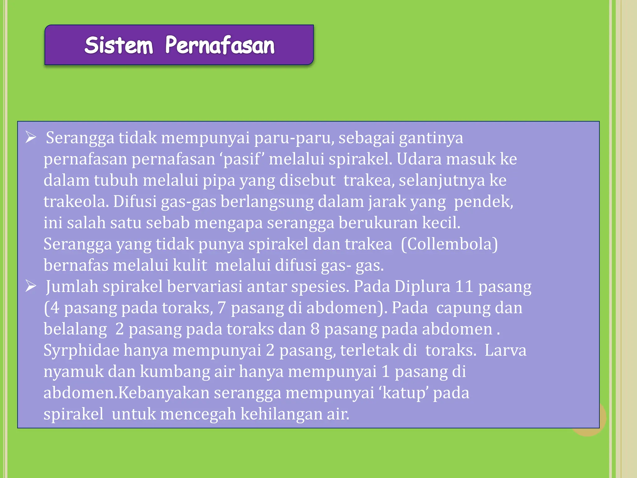 PPT - KLASIFIKASI - INSEKTA - IPA KELAS 7 | PPTX