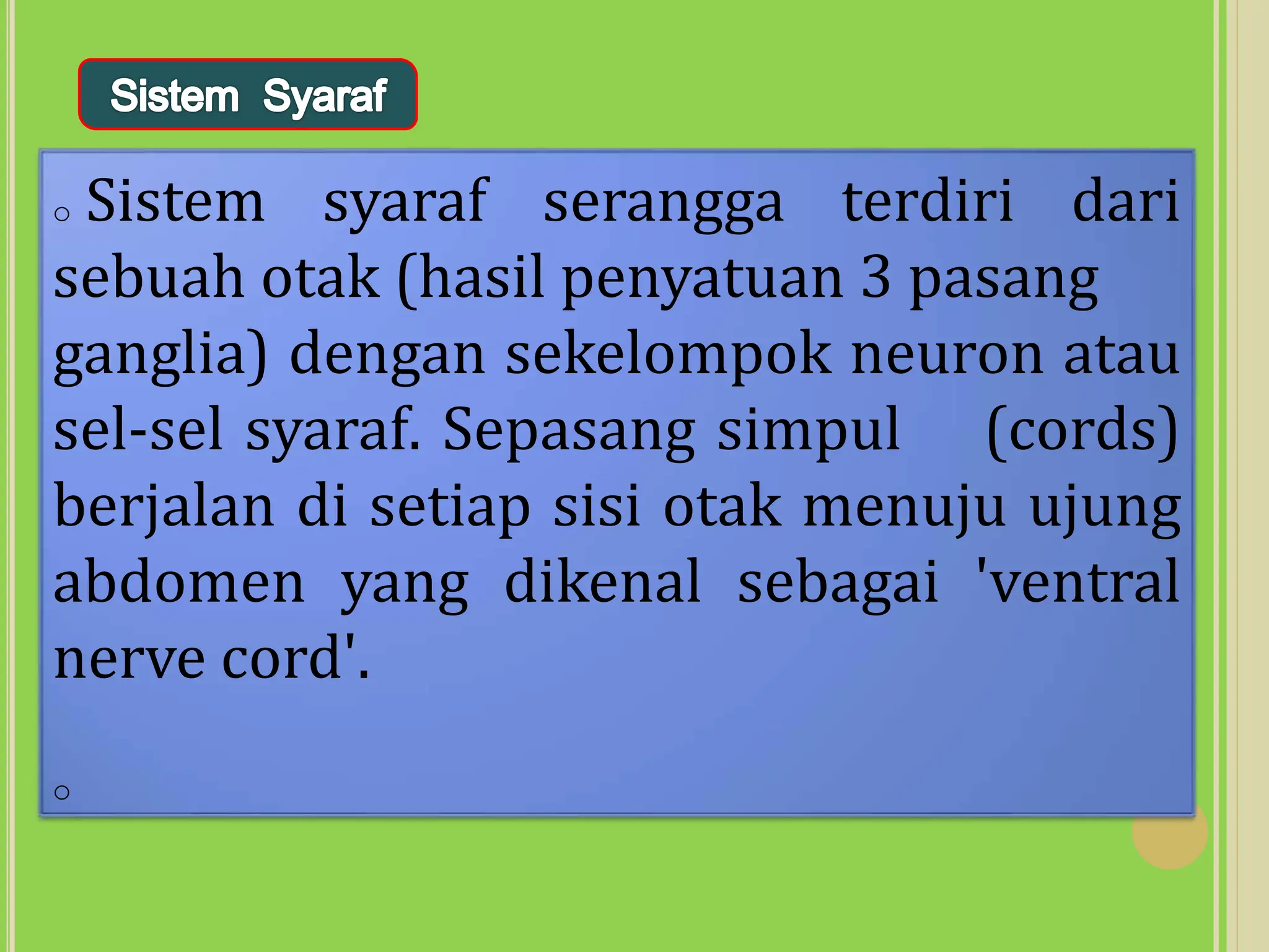 PPT - KLASIFIKASI - INSEKTA - IPA KELAS 7 | PPTX