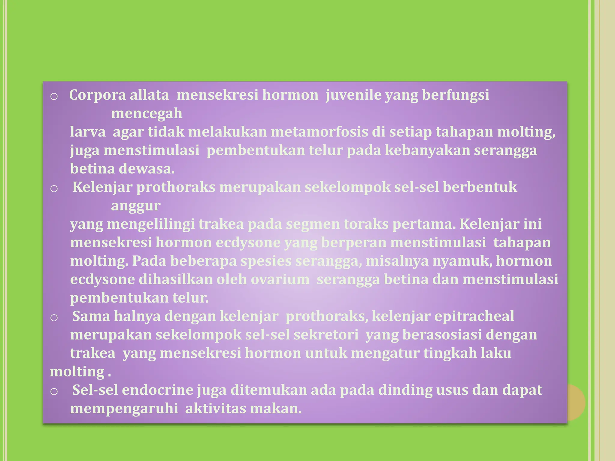 PPT - KLASIFIKASI - INSEKTA - IPA KELAS 7 | PPTX