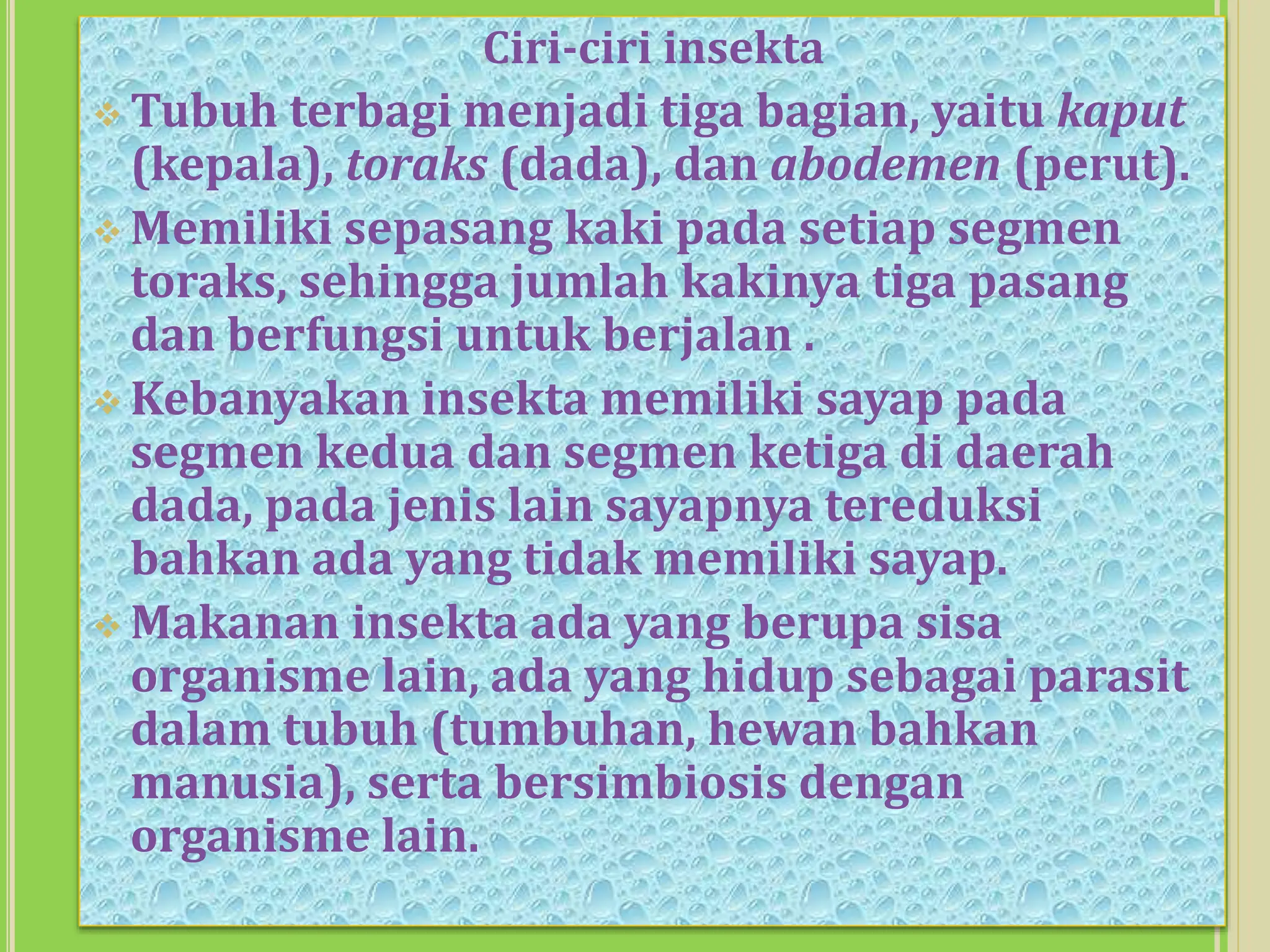 PPT - KLASIFIKASI - INSEKTA - IPA KELAS 7 | PPTX