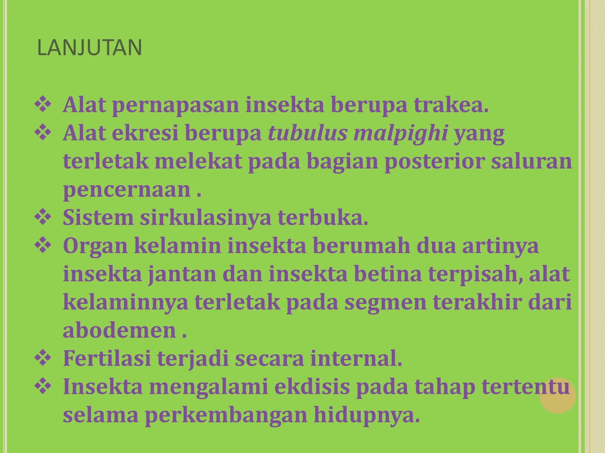 PPT - KLASIFIKASI - INSEKTA - IPA KELAS 7 | PPTX