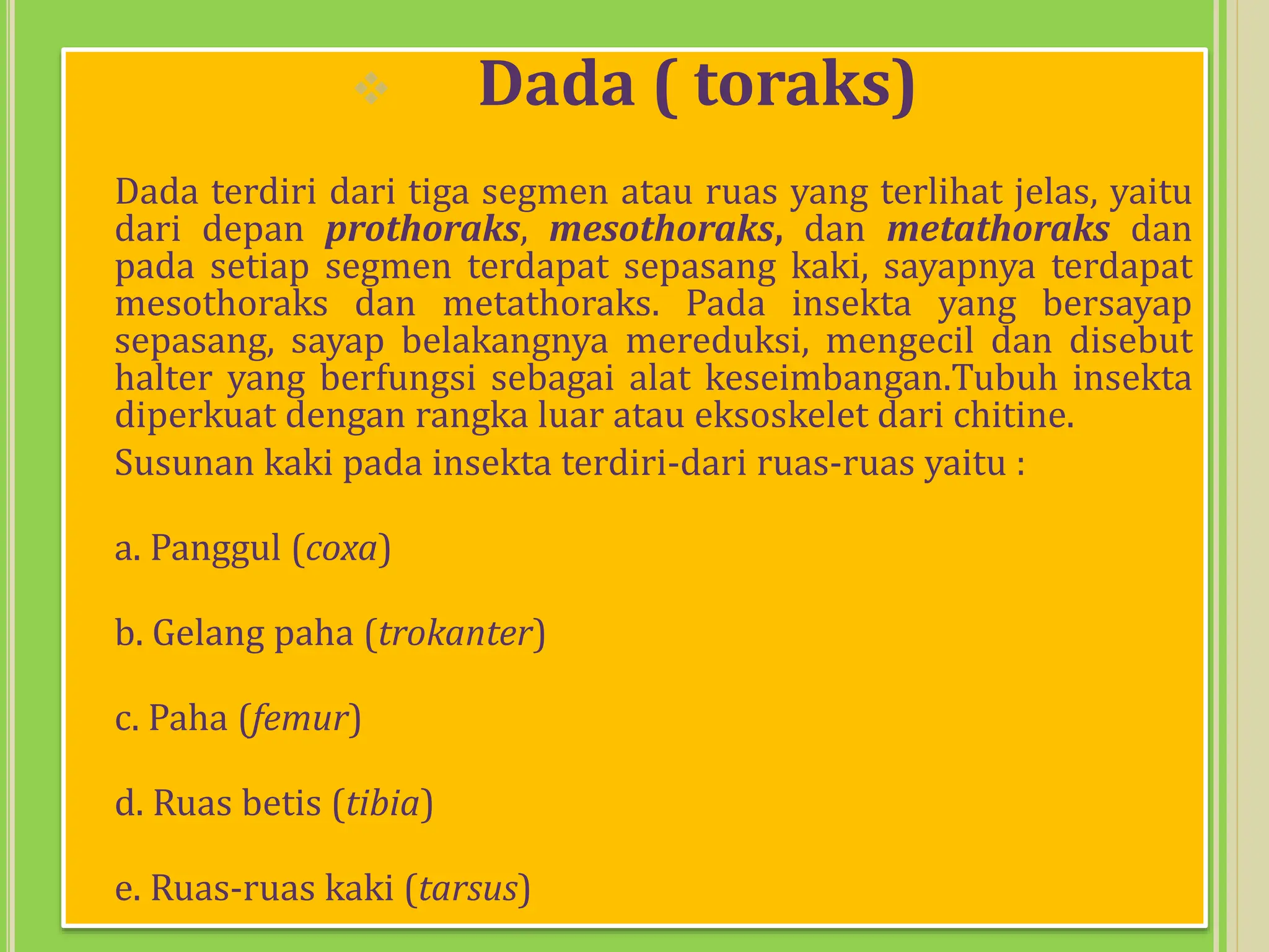 PPT - KLASIFIKASI - INSEKTA - IPA KELAS 7 | PPTX