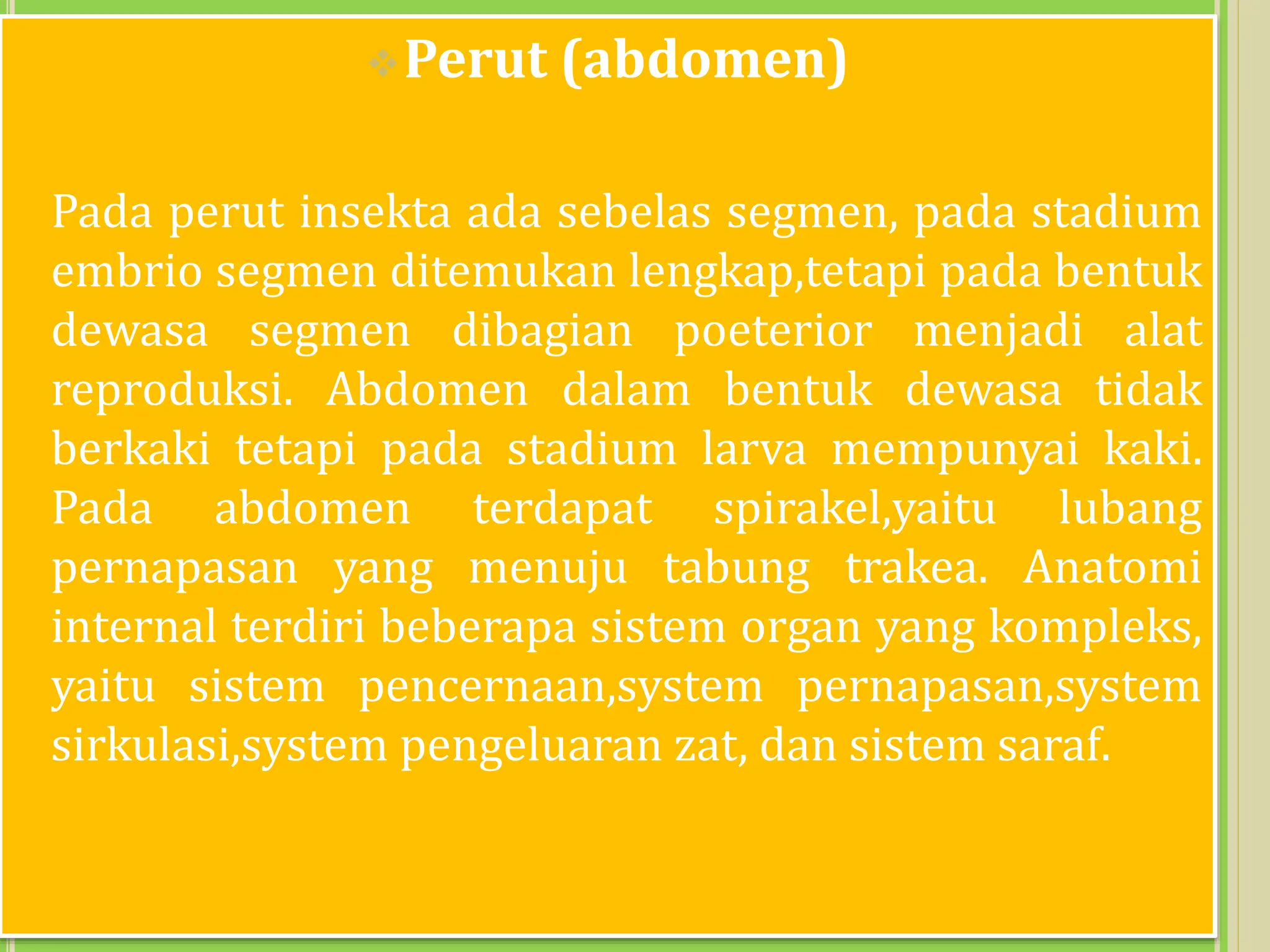 PPT - KLASIFIKASI - INSEKTA - IPA KELAS 7 | PPTX