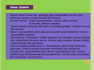 PPT - KLASIFIKASI - INSEKTA - IPA KELAS 7 | PPTX