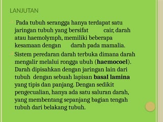 PPT-KLASIFIKASI-dewi.Klasifikasi Insektapptx | PPTX