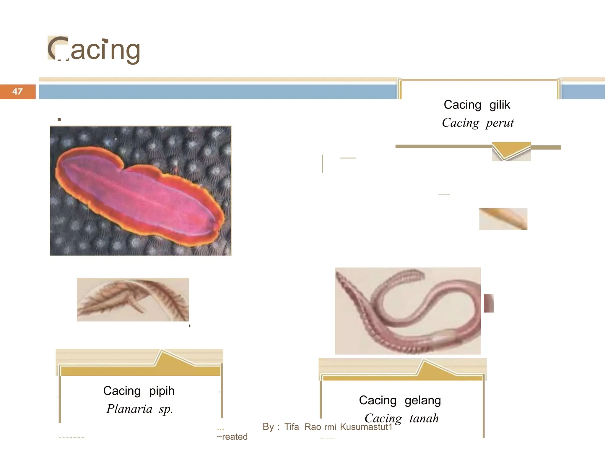 ppt-klasifikasi-makhluk-hidup-kelas-7-ppt.pptx