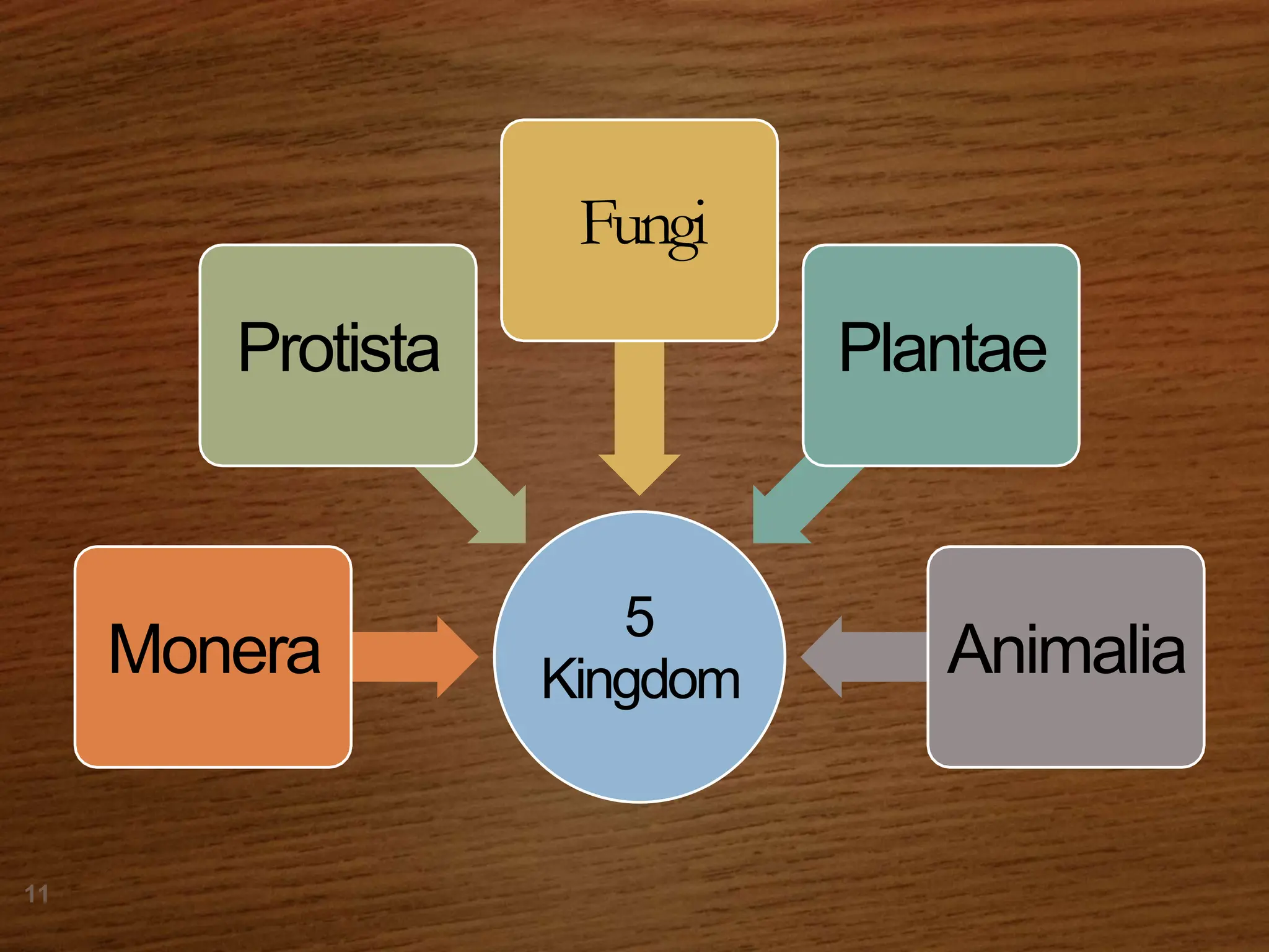 ppt-klasifikasi-makhluk-hidup-kelas-7 sampai 5 kingdom.pptx