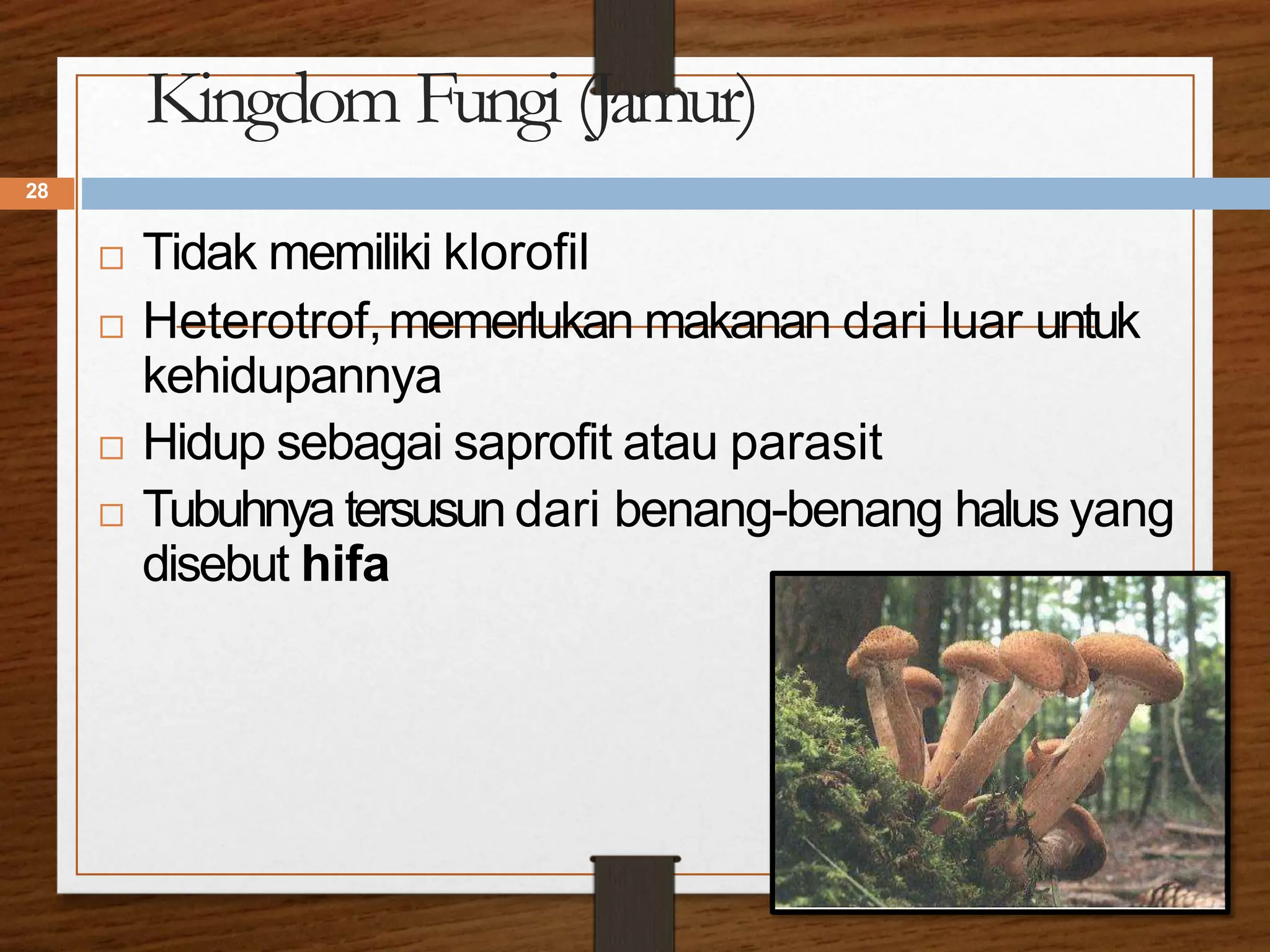 ppt-klasifikasi-makhluk-hidup-kelas-7 sampai 5 kingdom.pptx