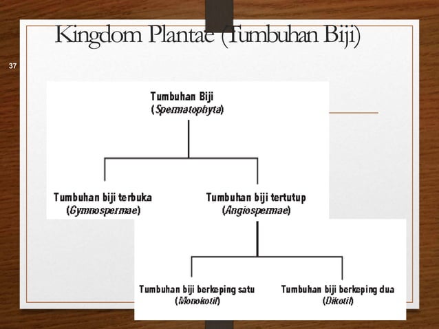 ppt-klasifikasi-makhluk-hidup-kelas-7 sampai 5 kingdom.pptx