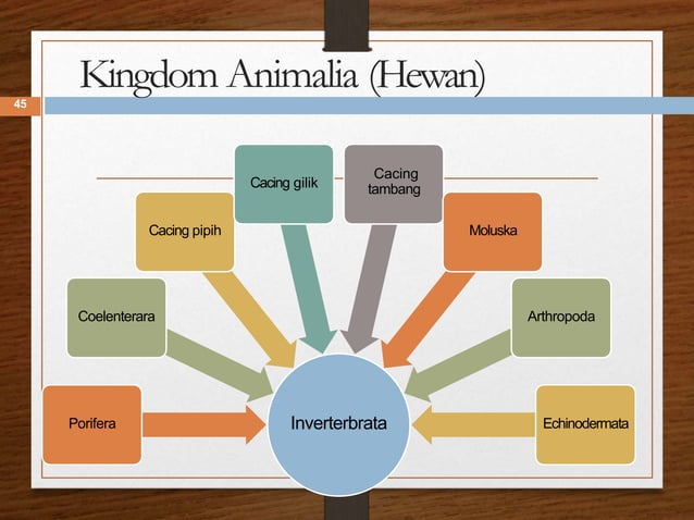 ppt-klasifikasi-makhluk-hidup-kelas-7 sampai 5 kingdom.pptx