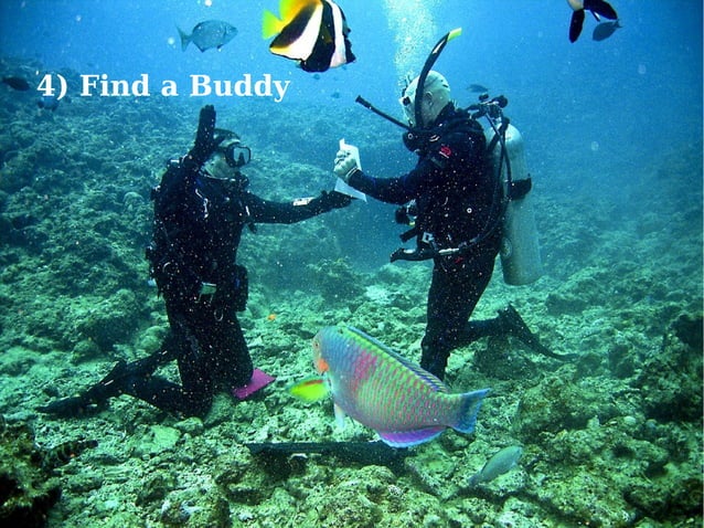 Learn Scuba Diving | PPT