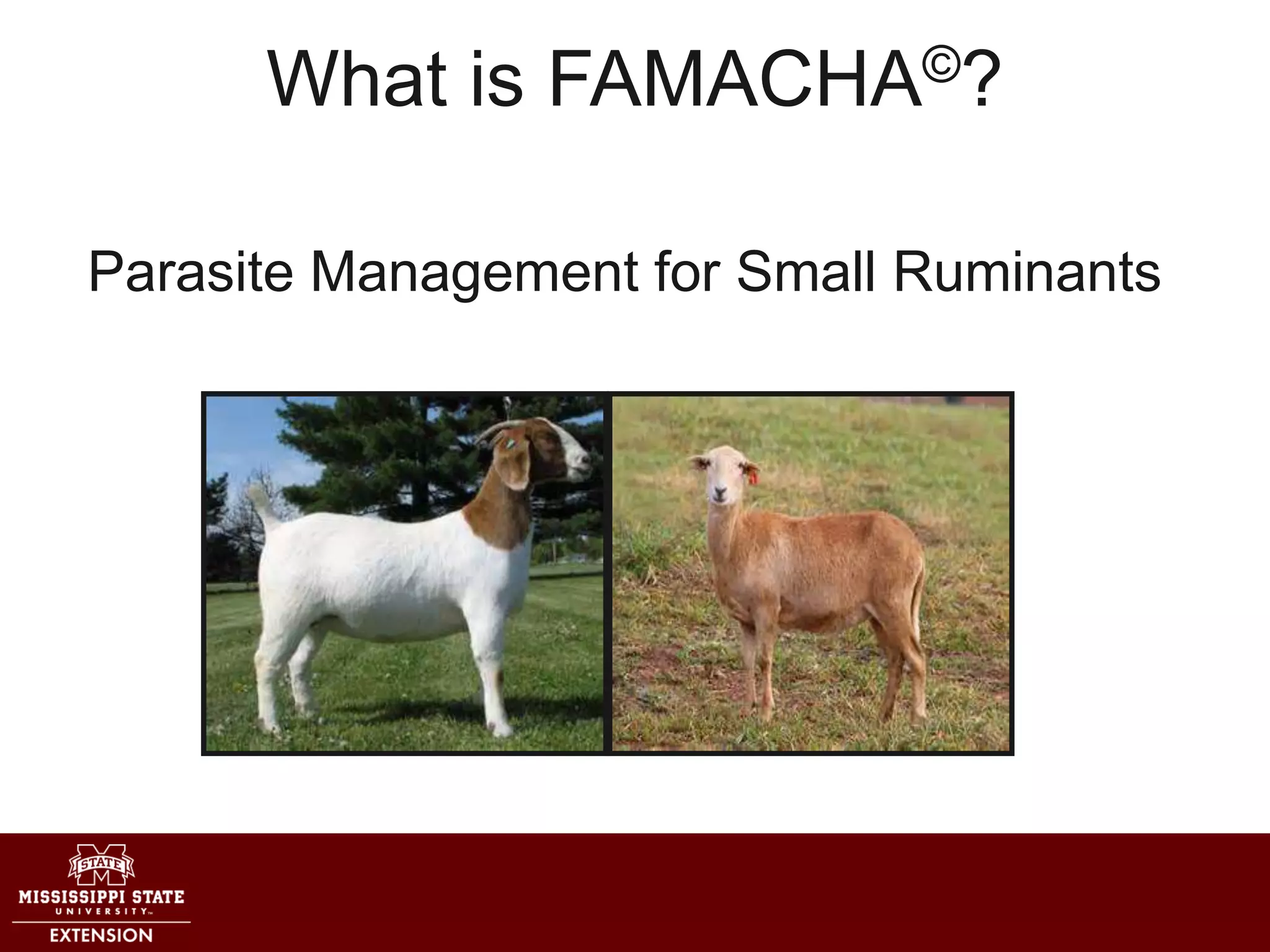 FAMACHA For the Control of Barber Pole Worm (Haemonchus contortus) in ...