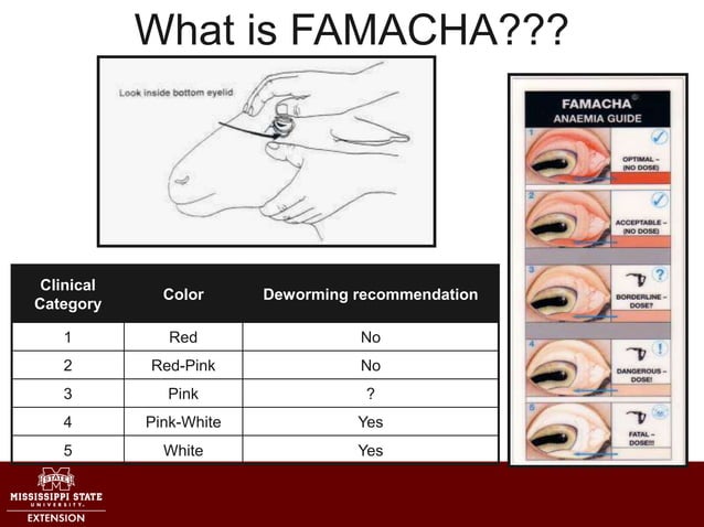 FAMACHA For the Control of Barber Pole Worm (Haemonchus contortus) in ...