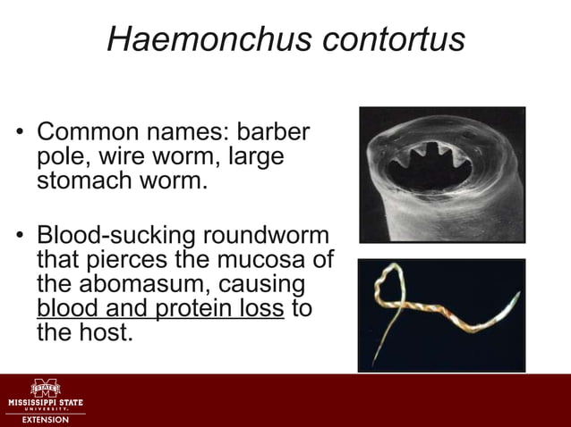 FAMACHA For the Control of Barber Pole Worm (Haemonchus contortus) in ...