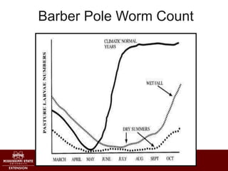 Curved Barber Pole