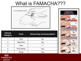FAMACHA For the Control of Barber Pole Worm (Haemonchus contortus) in ...