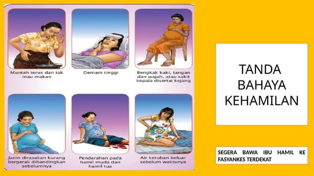 ppt-LF(2).pptxoooooooooooooooooooooooooooooooooooooooooooooo | PPT