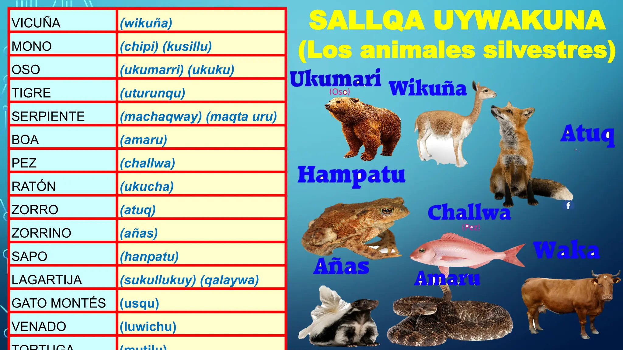 PPT - LOS ANIMALES EN QUECHUA - VI.pptx