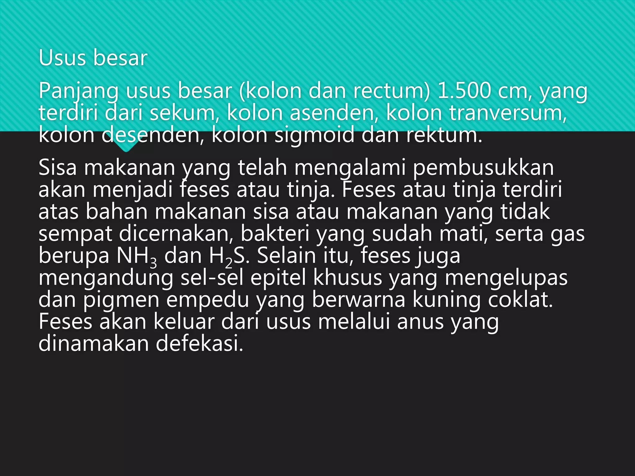 PPT-Materi-Sistem-Pencernaan-Manusia-Kelas-8-Kurikulum-2013.pptx.ppt