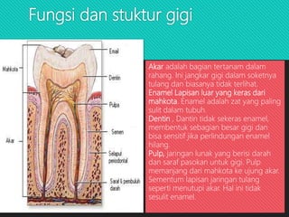 PPT-Materi-Sistem-Pencernaan-Manusia-Kelas-8-Kurikulum-2013.pptx.ppt