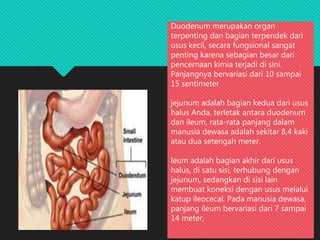PPT-Materi-Sistem-Pencernaan-Manusia-Kelas-8-Kurikulum-2013.pptx.ppt