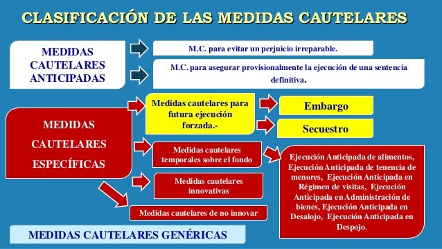 Las Medidas Cautelares Atipicas En El Peru Las Medidas Cautelares – Eroppa