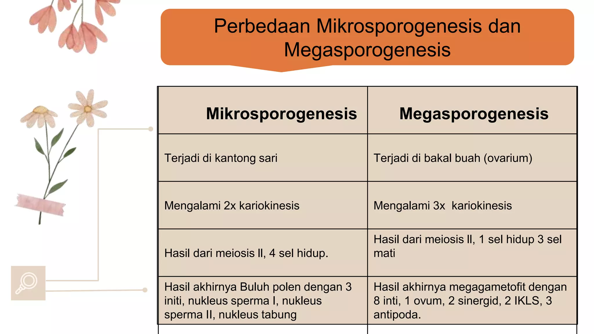 PPT-Megasporogenesis-1.pptx