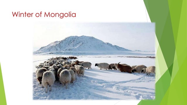 General introduction - Mongolia | PPTX