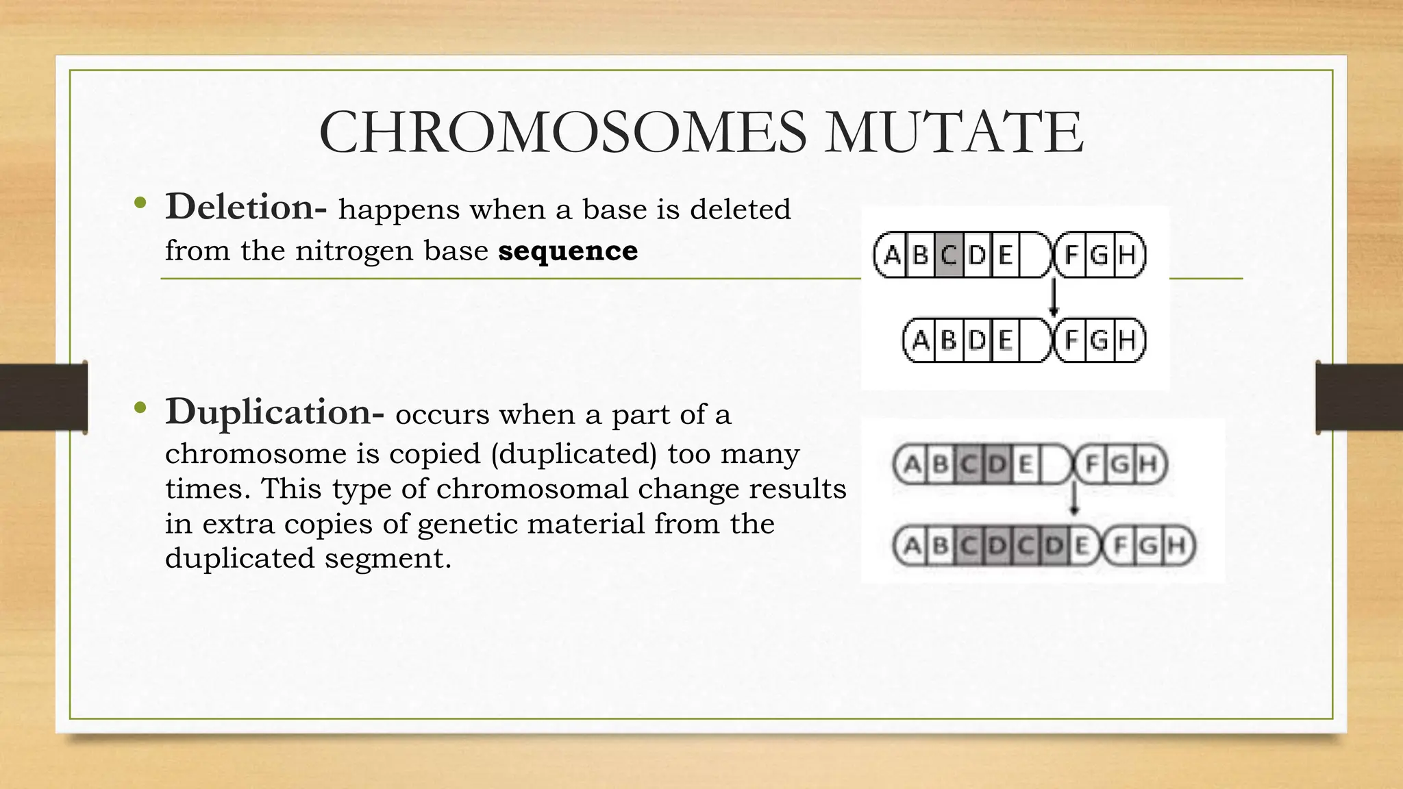 This is lesson about Mutation in science 10 | PPTX