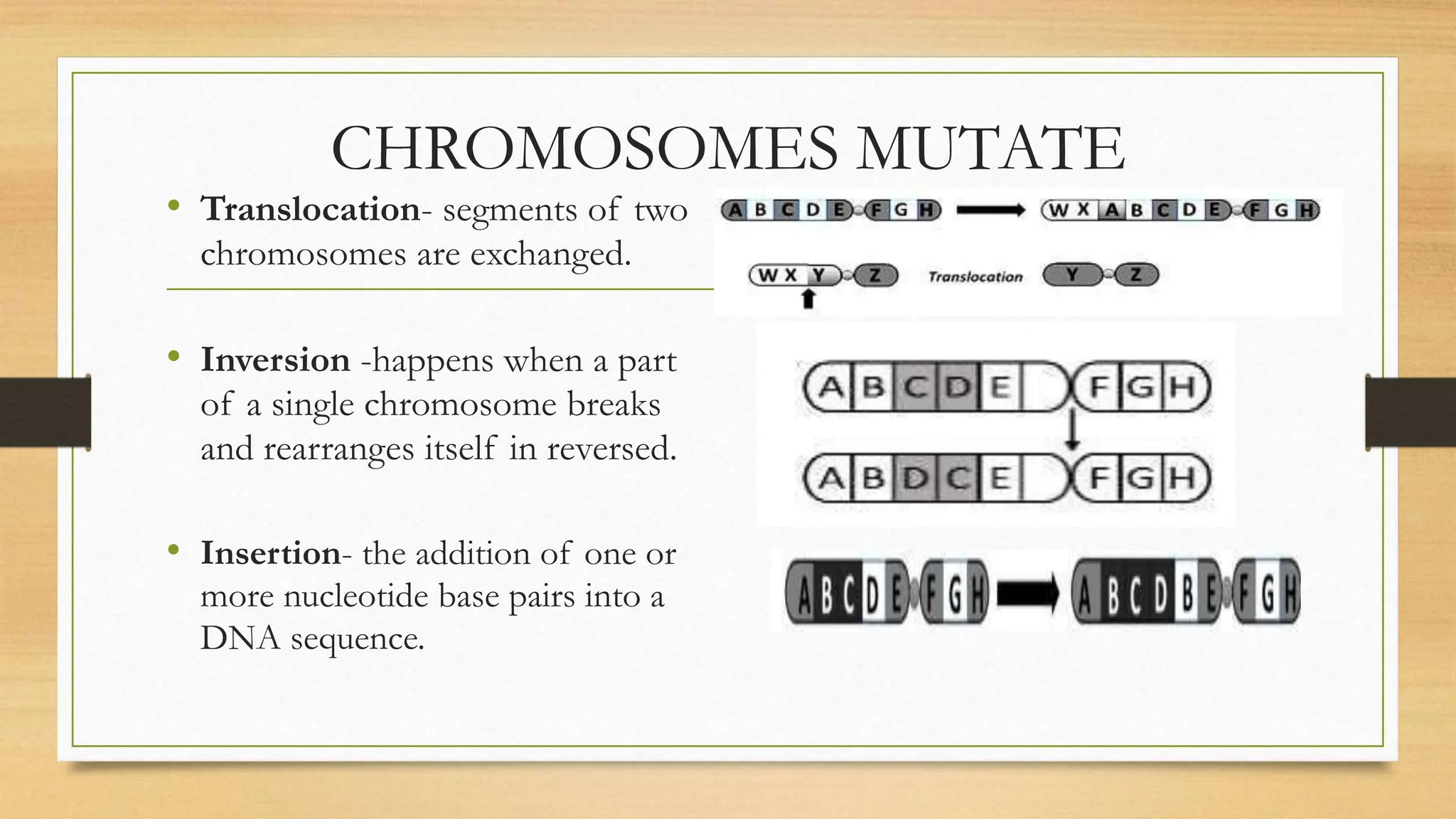 This is lesson about Mutation in science 10 | PPTX