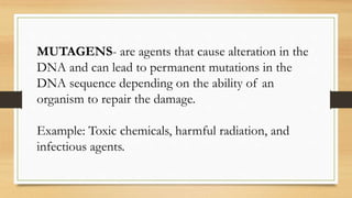 This is lesson about Mutation in science 10 | PPTX | Genetics | Science
