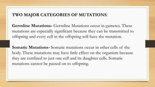 This is lesson about Mutation in science 10 | PPTX | Genetics | Science