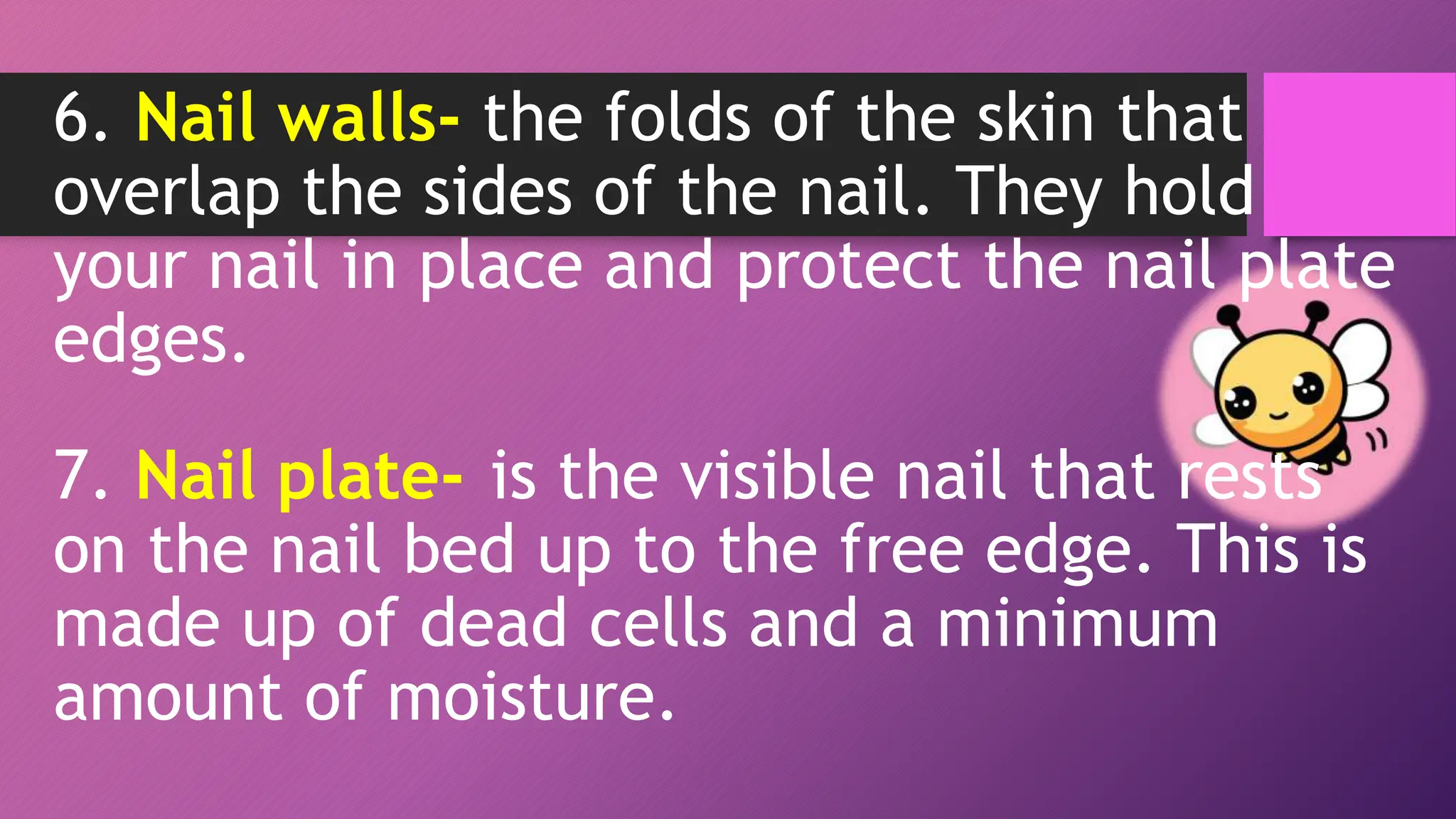 PPT-Nail-Structure-and-Shapes.pptx