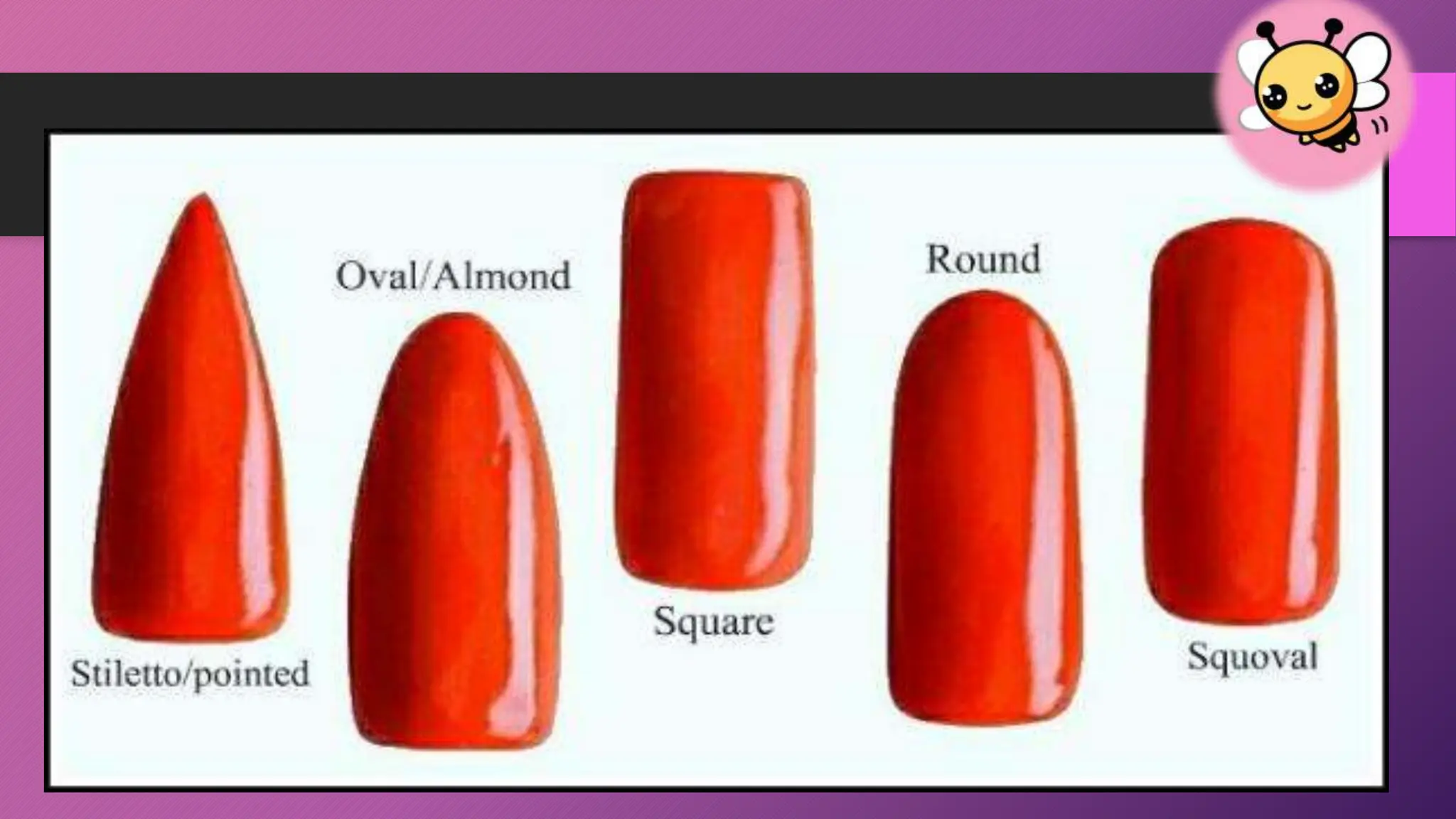 PPT-Nail-Structure-and-Shapes.pptx
