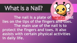 PPT-Nail-Structure-and-Shapes.pptx