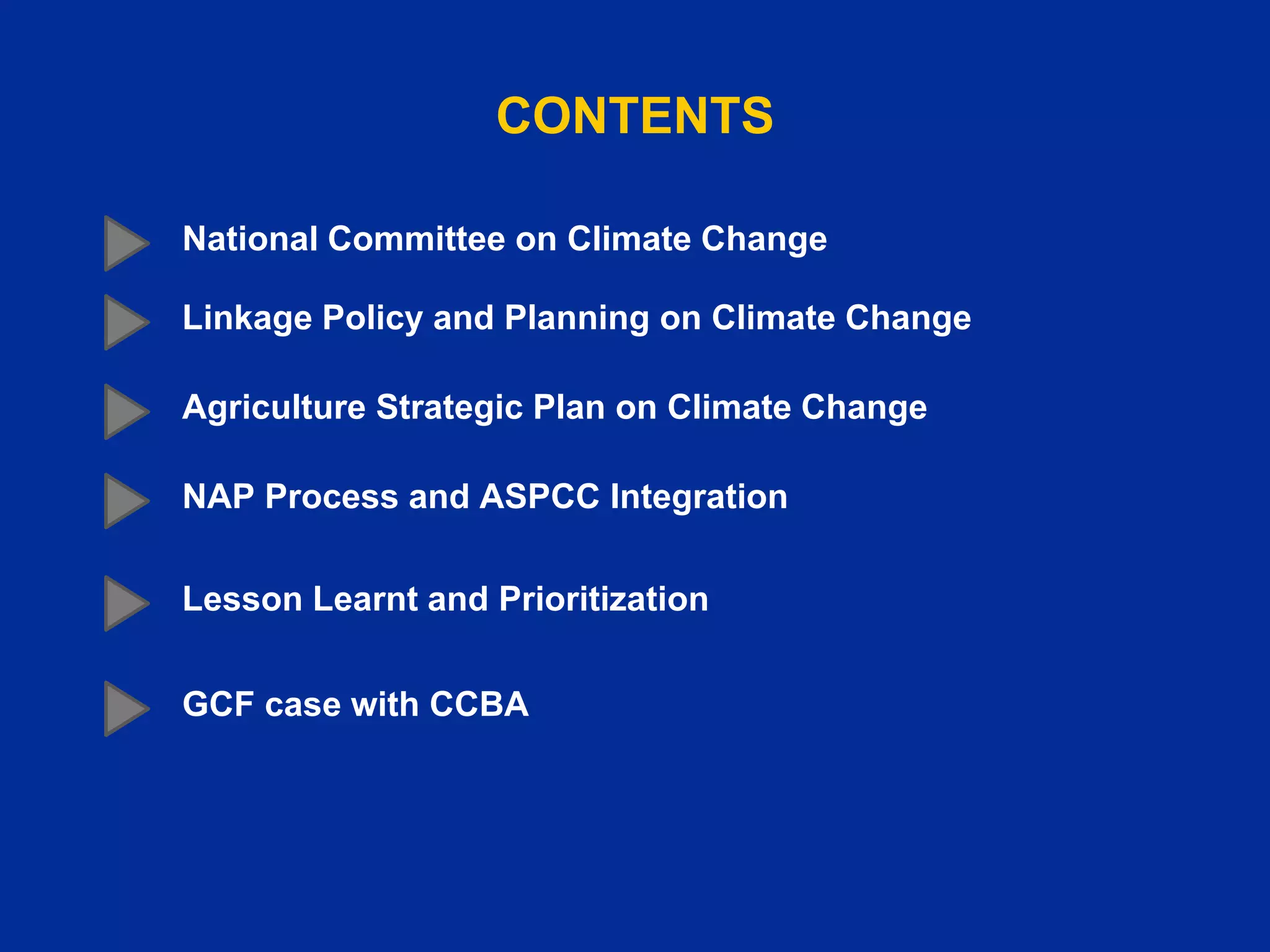 2.1.2 Country approaches in designing the formulation of NAPs ...