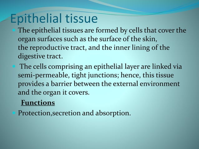 Ppt natural science | PPT