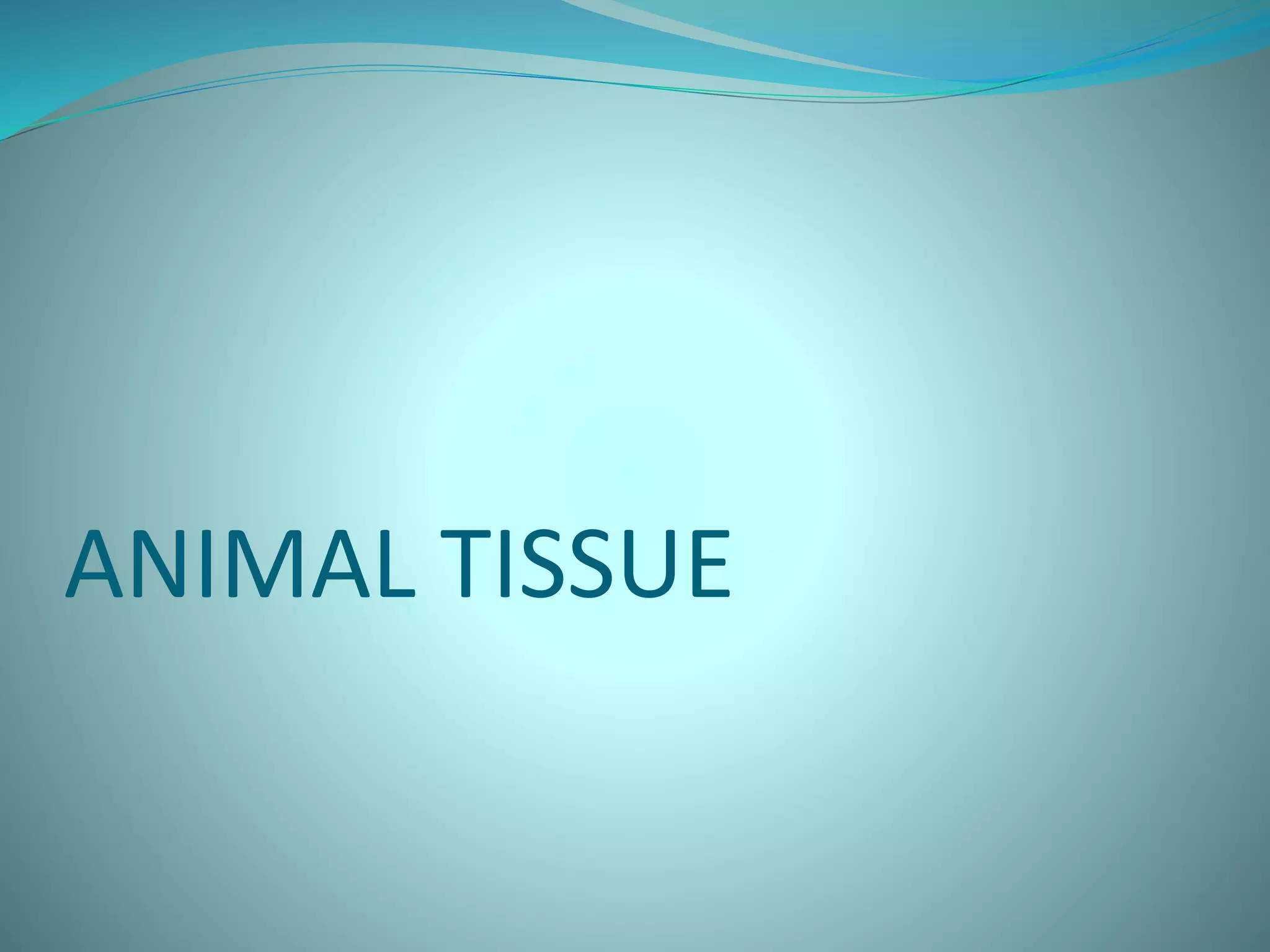 power point-animal tissue | PPTX