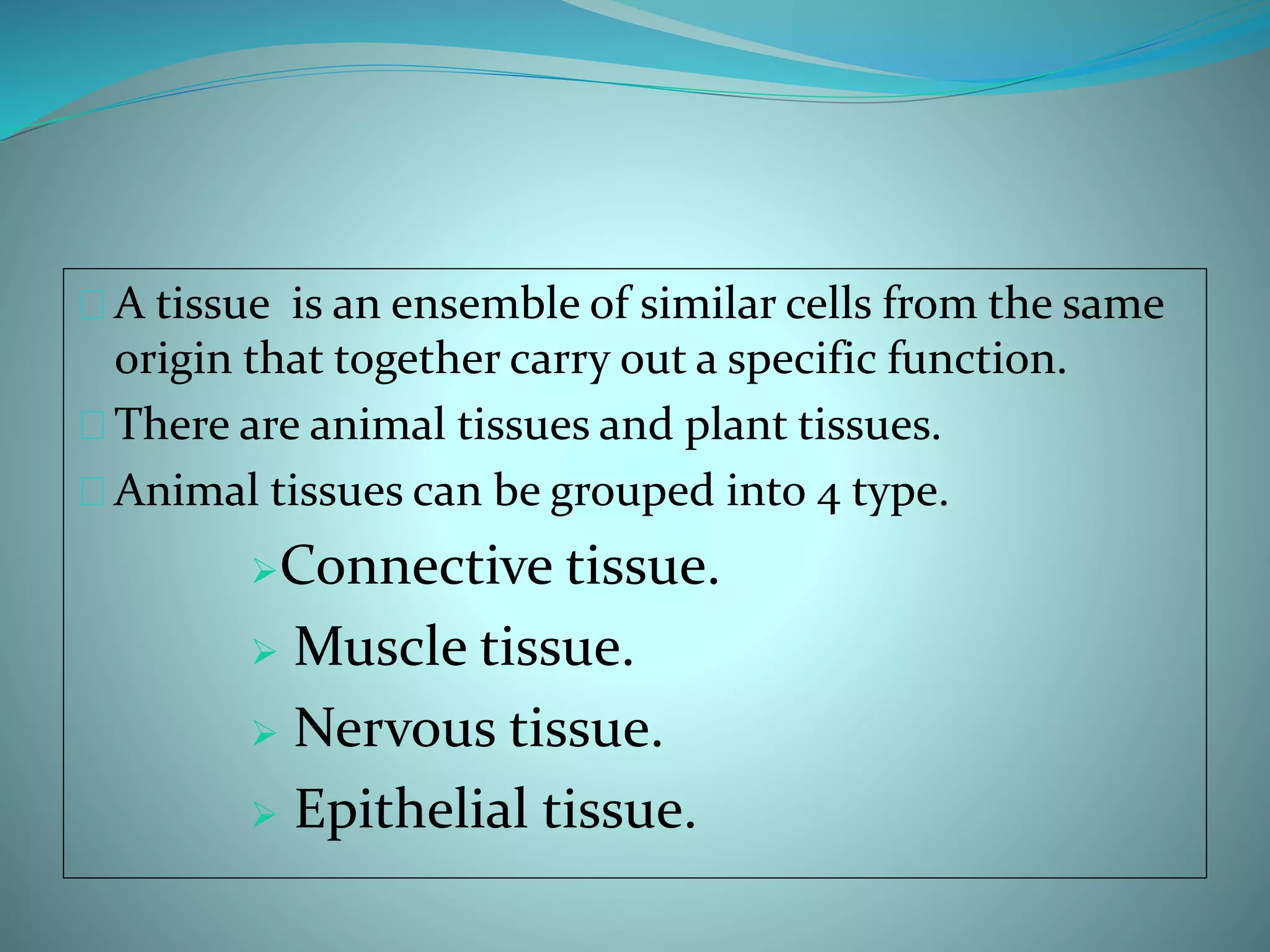 power point-animal tissue | PPTX