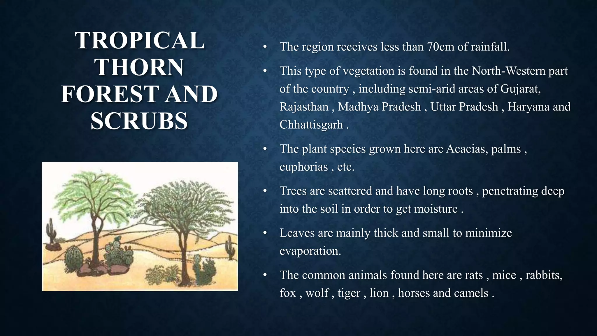 PPT - Natural Vegetation and Wildlife.PPTX
