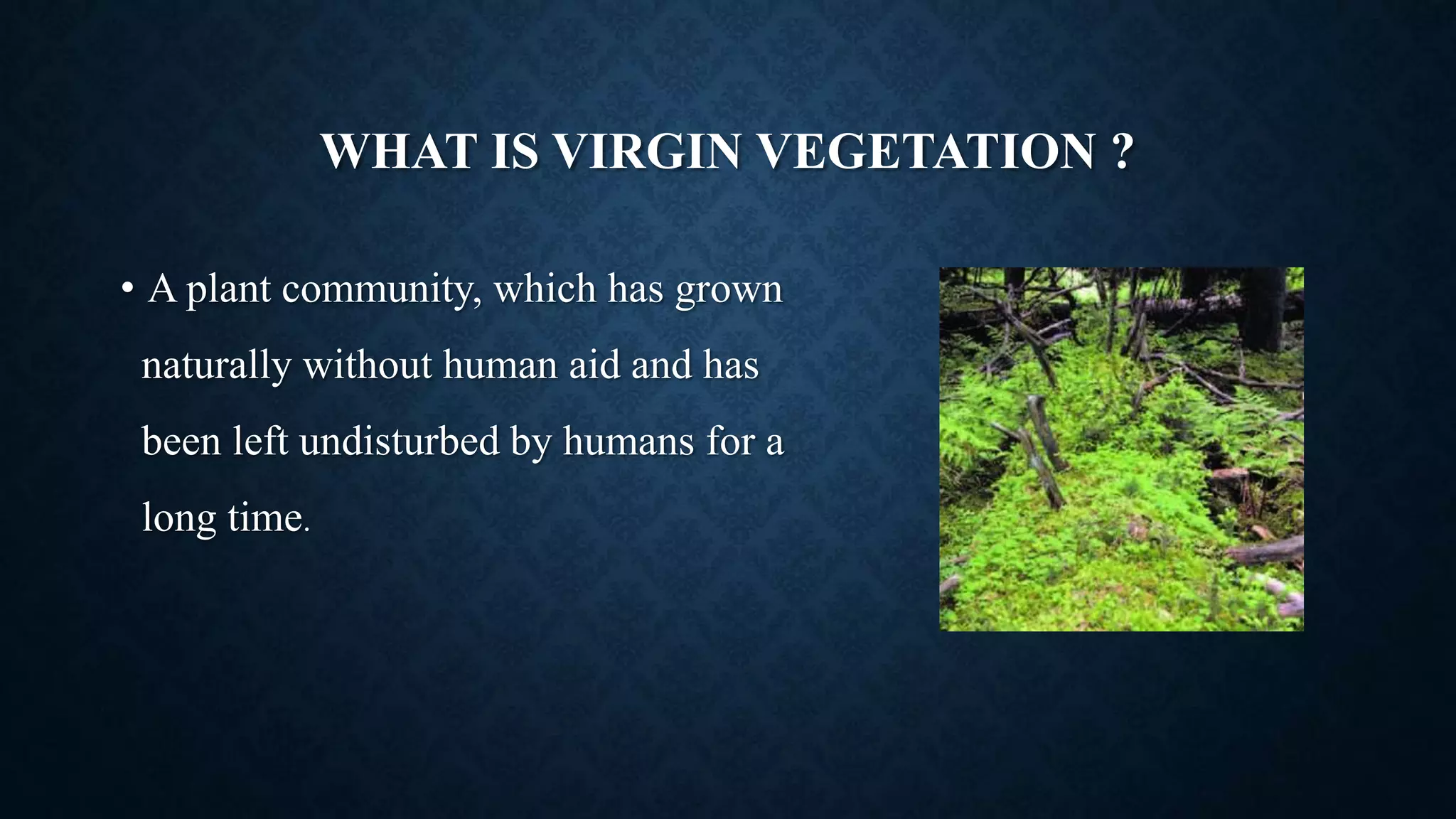 PPT - Natural Vegetation and Wildlife.PPTX