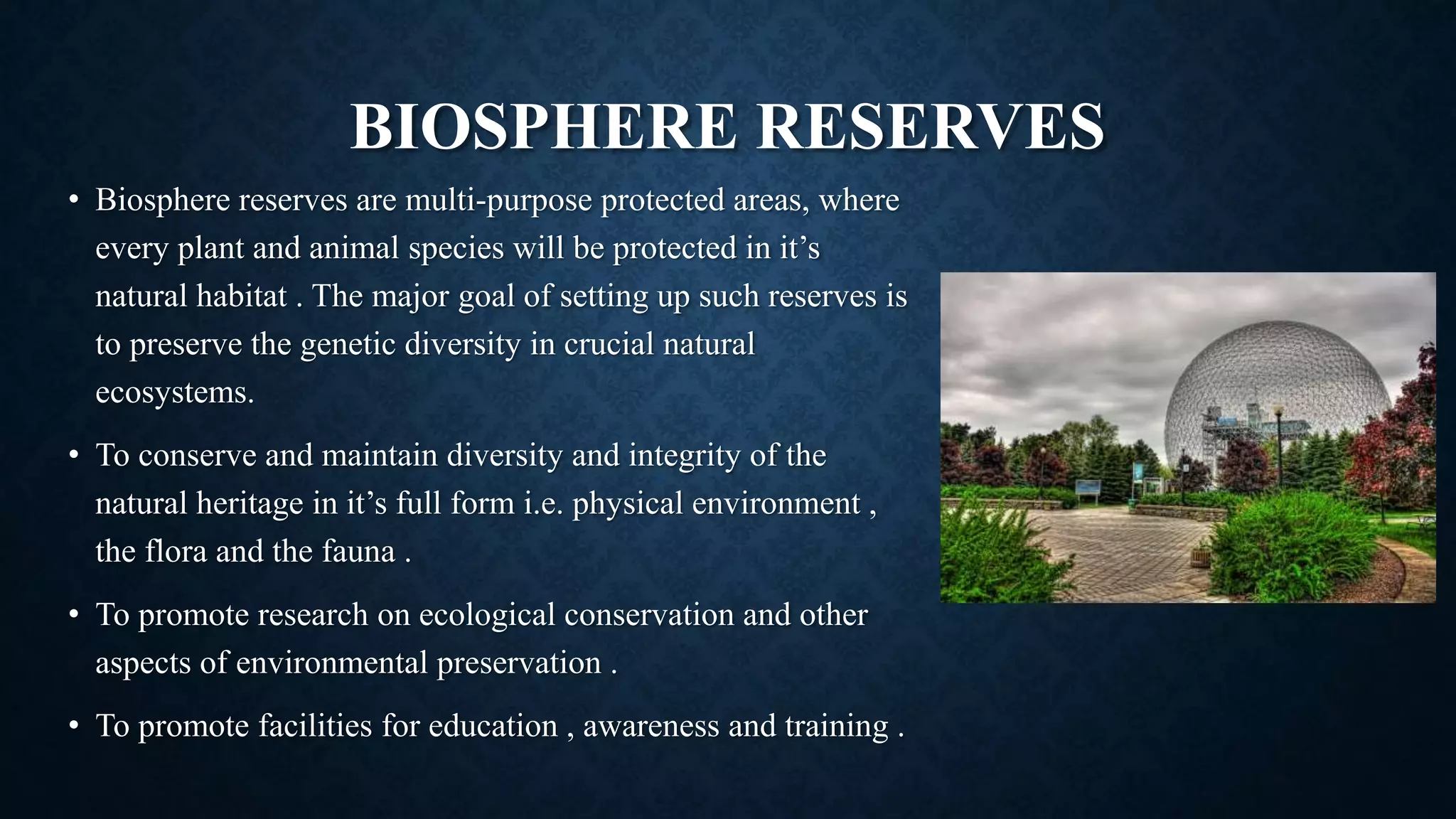 PPT - Natural Vegetation and Wildlife.PPTX