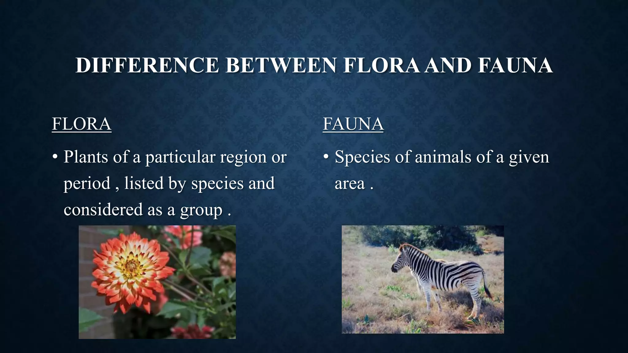 PPT - Natural Vegetation and Wildlife.PPTX