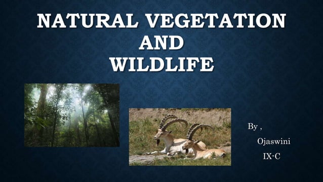 PPT - Natural Vegetation and Wildlife.PPTX