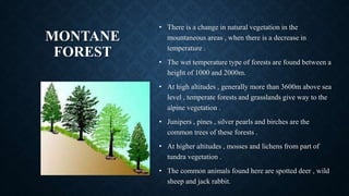 PPT - Natural Vegetation and Wildlife.PPTX