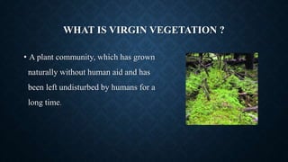 PPT - Natural Vegetation and Wildlife.PPTX