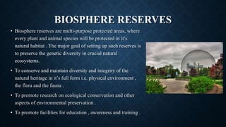 PPT - Natural Vegetation and Wildlife.PPTX