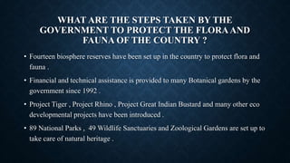 PPT - Natural Vegetation and Wildlife.PPTX