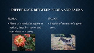 PPT - Natural Vegetation and Wildlife.PPTX